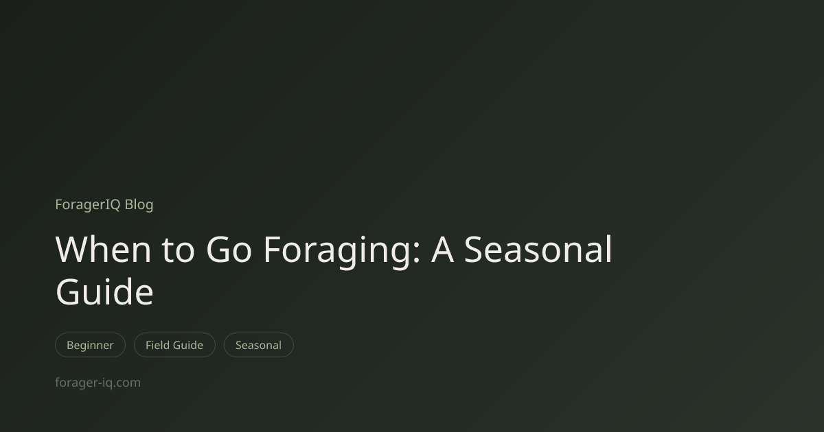 When to Go Foraging: A Seasonal Guide — ForagerIQ Blog — ForagerIQ